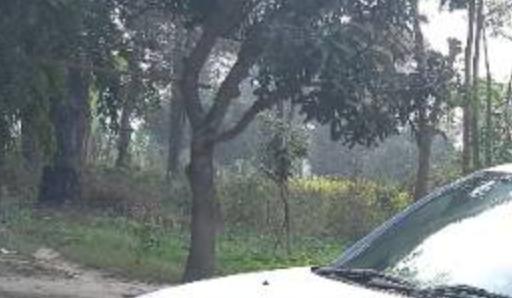 Buy Used Mahindra NuvoSport N4 Plus of 2017 model @ 4,25,000 INR in ...