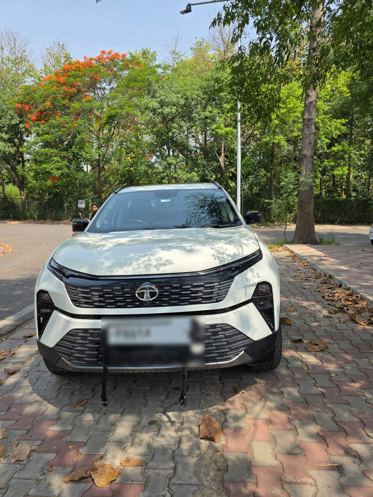 Used 2023 Tata Harrier Less Driven Diesel Manual in Chandigarh at ₹18 ...