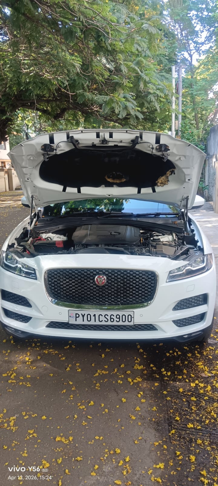 Buy Used Jaguar F-Pace Prestige 2.0 AWD of 2018 model @ 26,50,000 INR ...