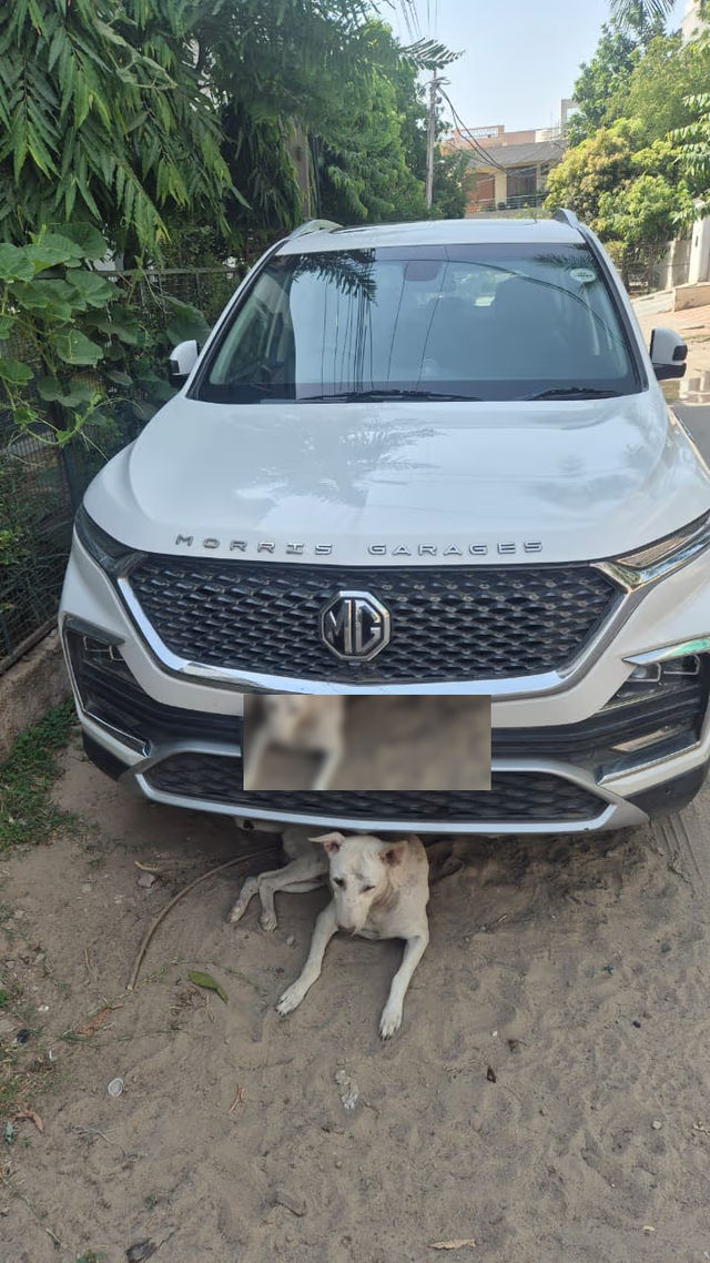 Used 2020 MG Hector Petrol Manual in Gurgaon at ₹12.50 Lakh - CarDekho