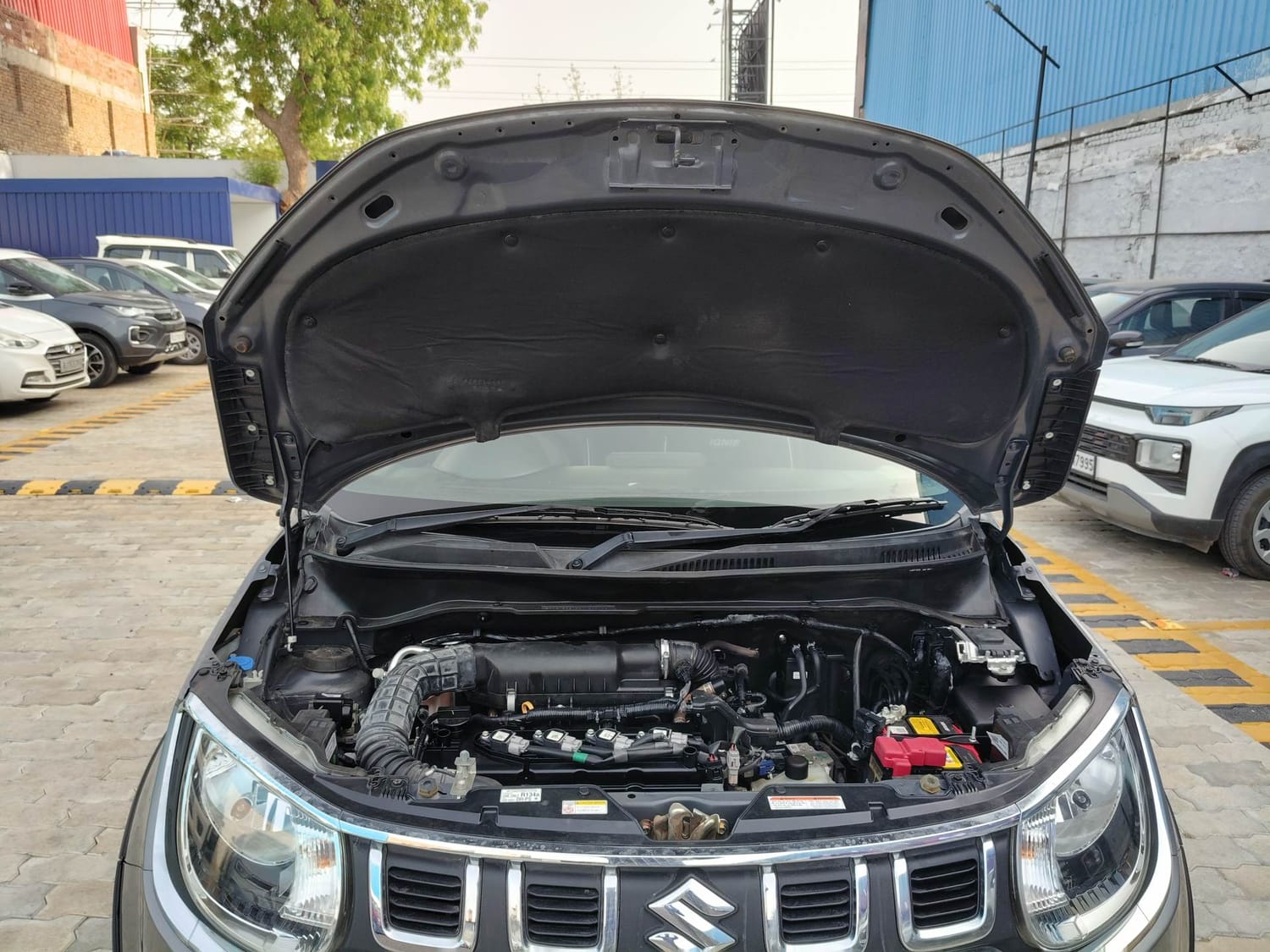 Buy Used Maruti Ignis 1.2 AMT Zeta BSIV of 2025 model @ 6,42,000 INR in ...