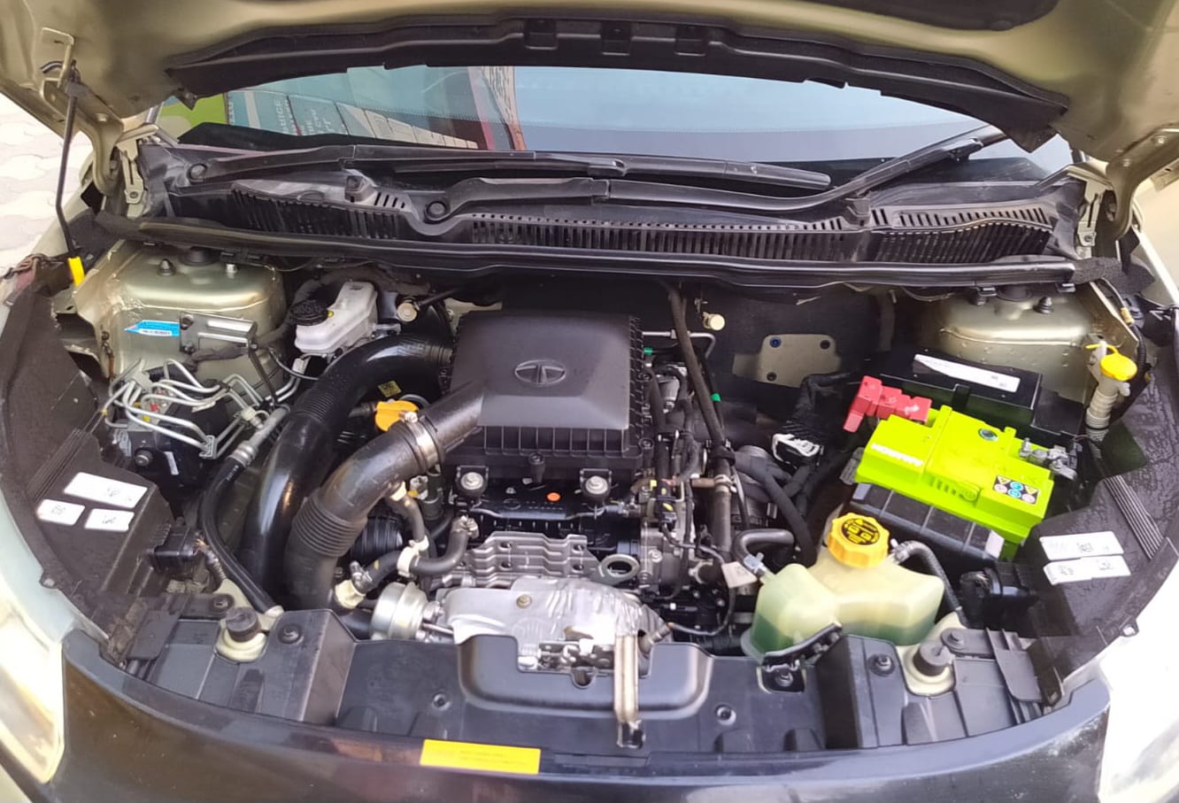 Buy Used Tata Nexon XZA Plus Kaziranga Edition AMT of 2022 model @ 8 ...