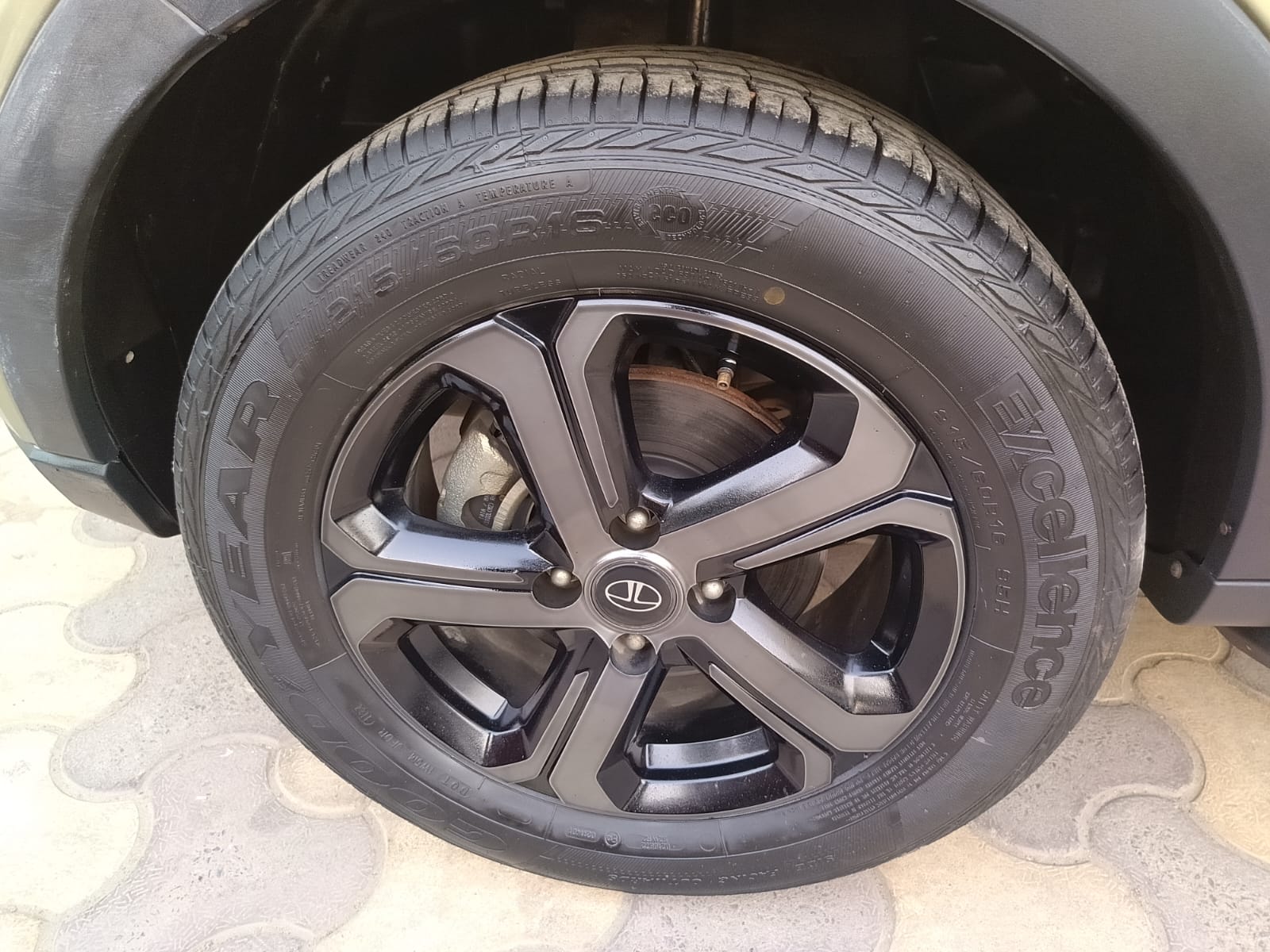 Buy Used Tata Nexon XZA Plus Kaziranga Edition AMT of 2022 model @ 8 ...