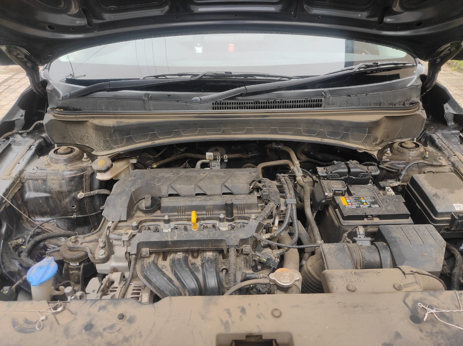 Buy Used Kia Seltos HTK of 2023 model @ 12,00,000 INR in Mumbai - 4934592 - ZigWheels.com