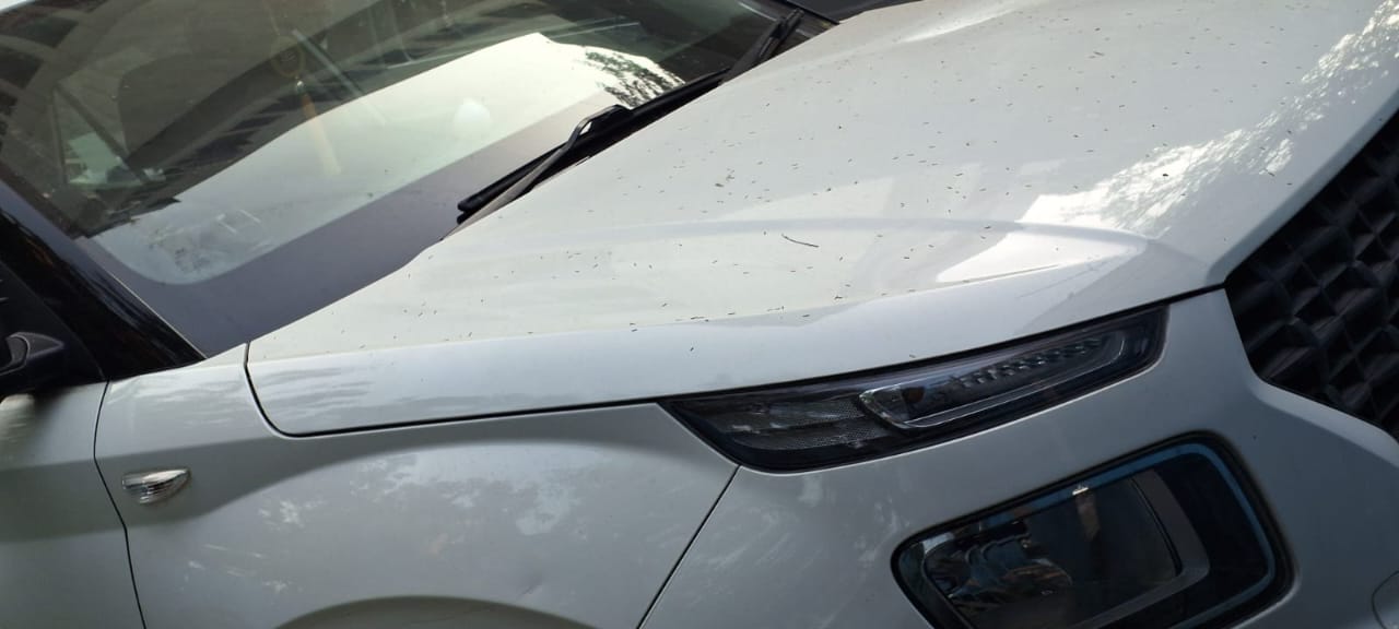 Buy Used Hyundai Venue E BSIV of 2019 model @ 4,50,000 INR in Pune - 4959748 - ZigWheels.com